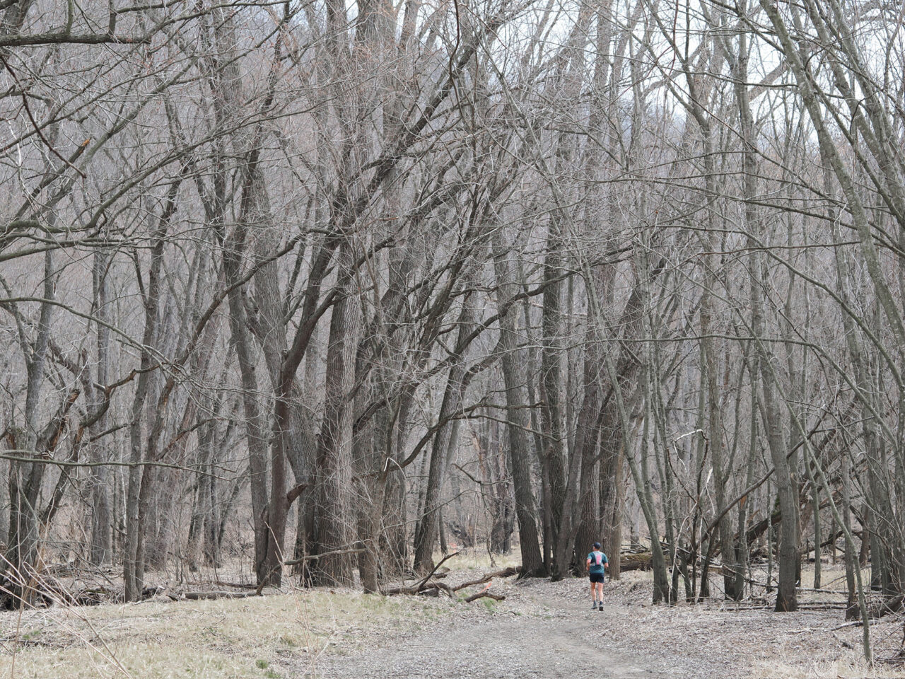 2026 Rocksteady Running Race Schedule Announced! | Zumbro Endurance Run